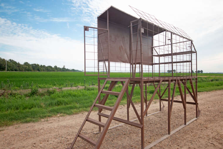 Bayou Deview Duck Blinds